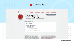 Webアプリケーション向けPythonバックエンドフレームワーク・トップ5 - Newwave Solutions Japan